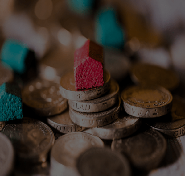 cerer catergory - Clarity FT